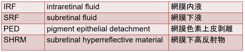 IRF/SRF/PEDとSHRM – 目医者情報